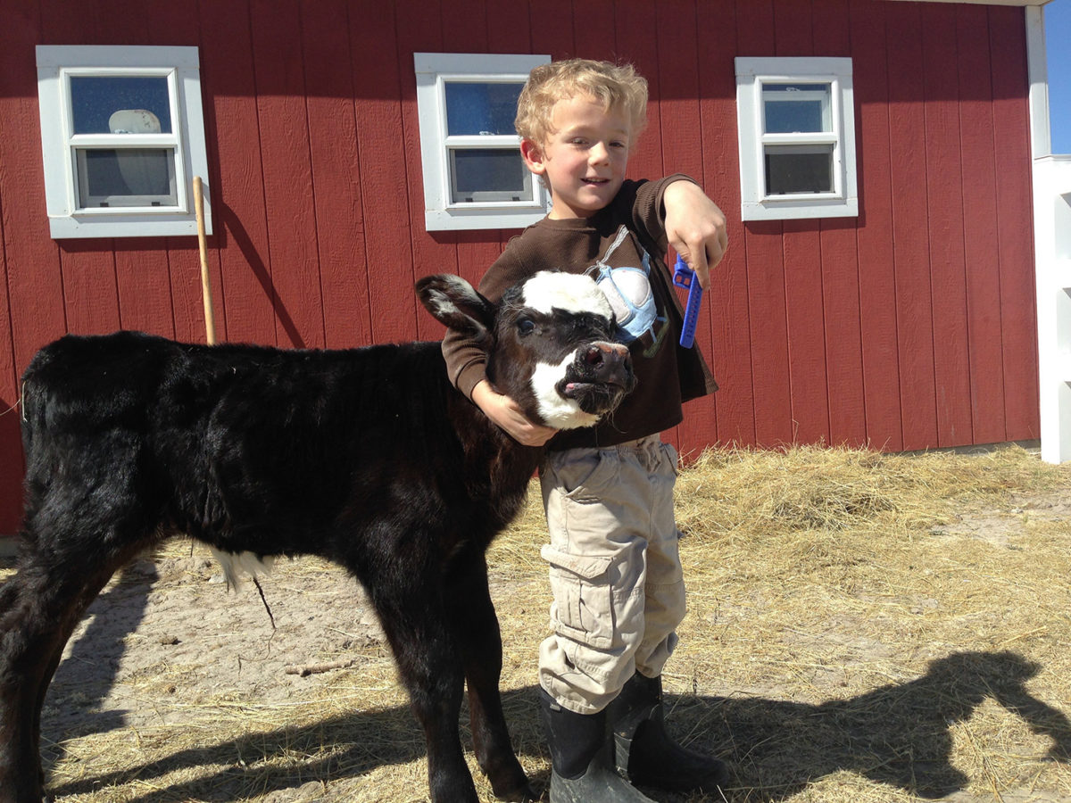 Gallery - Circle View Ranch